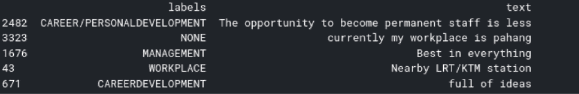 Deep Learning for Text Multi-Labeling with Small Datasets